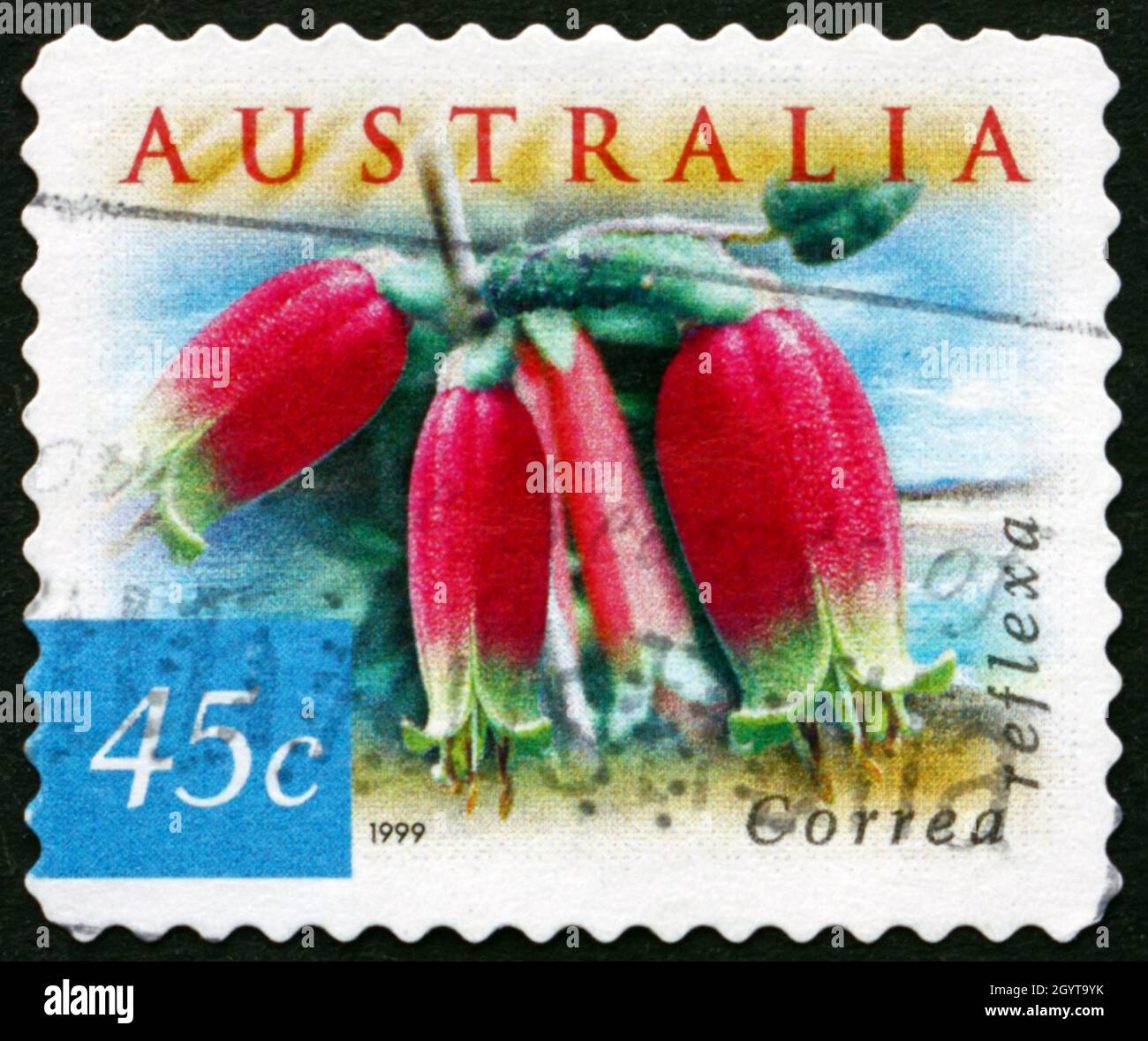 AUSTRALIA - CIRCA 1999: a stamp printed in Australia shows Common ...