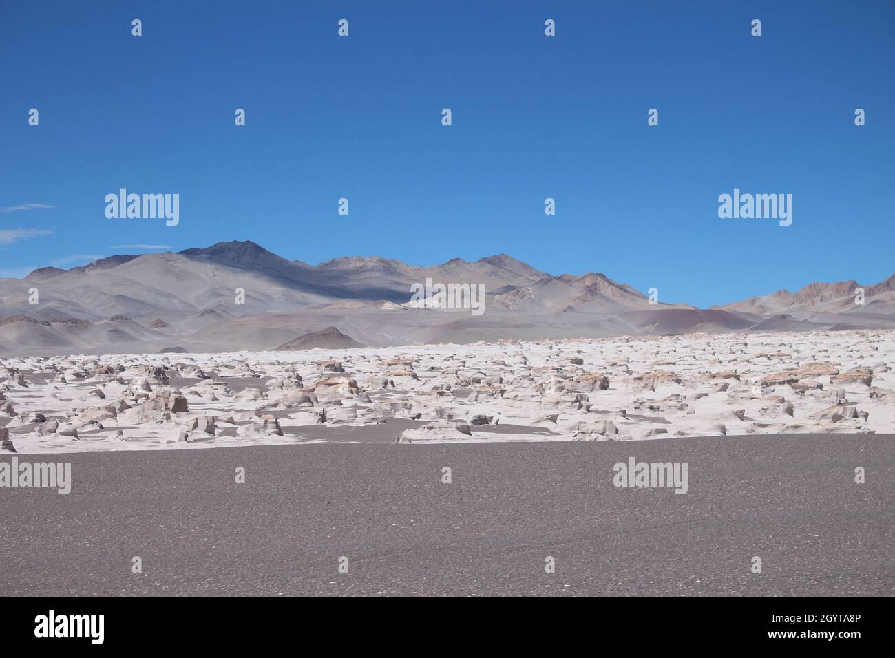 unique pumice field in the world in northwestern Argentina Stock Photo ...