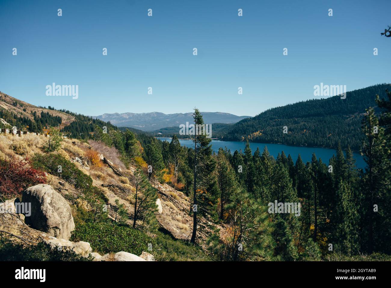 beautiful autumn mountain valley stones trees trees river landscape in ...