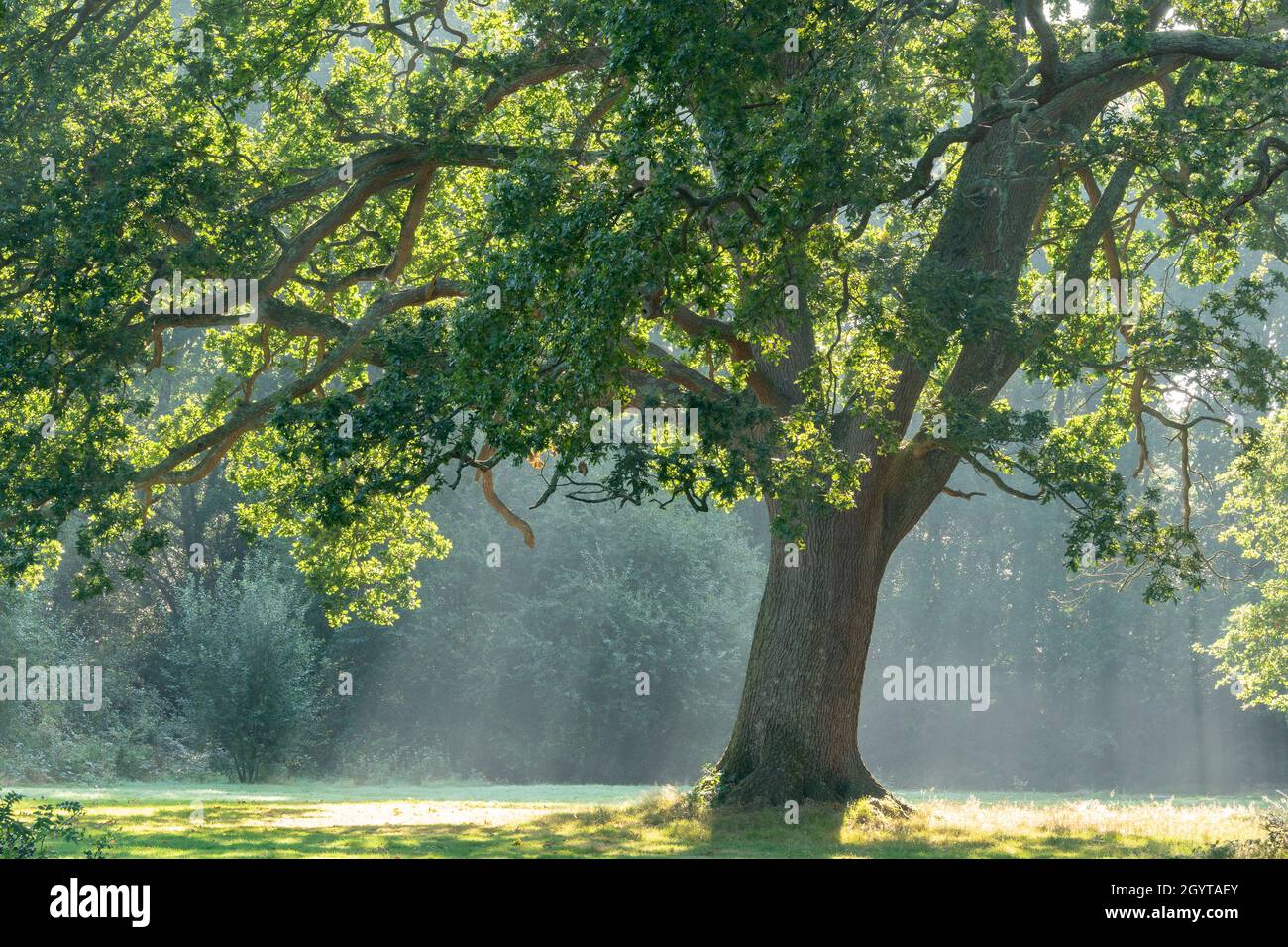 Southampton park sunshine hi-res stock photography and images - Alamy