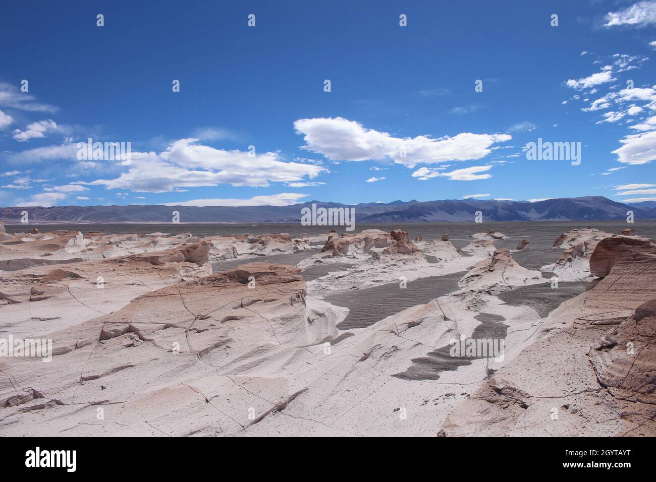 unique pumice field in the world in northwestern Argentina Stock Photo ...