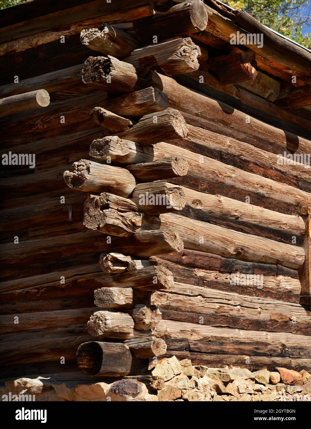 A 19th century ranch outbuilding made of logs at El Rancho de las ...