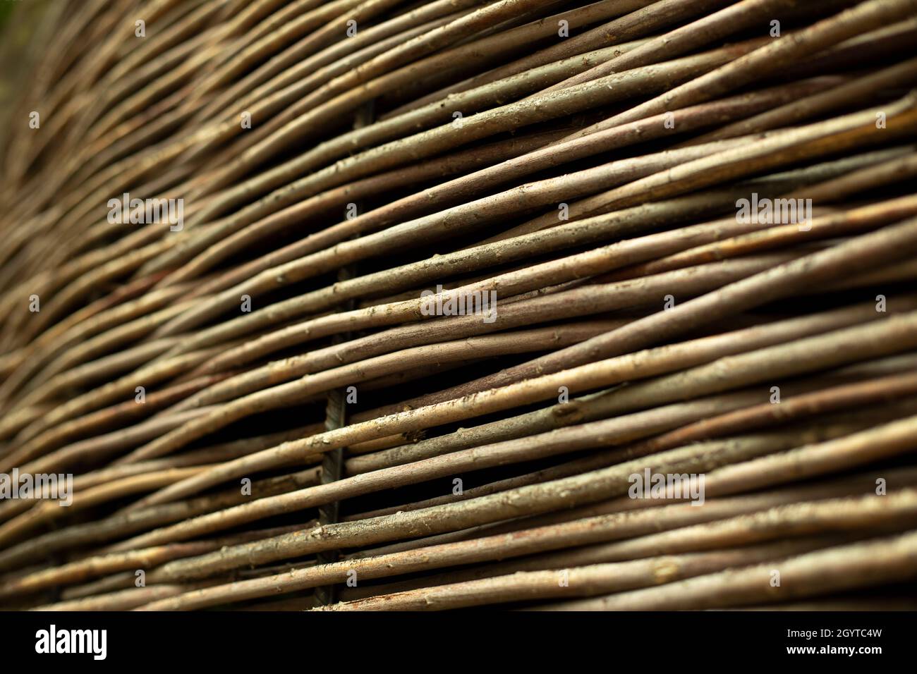 Dry wood texture. Wicker basket branches. Intertwined dry stems of a ...