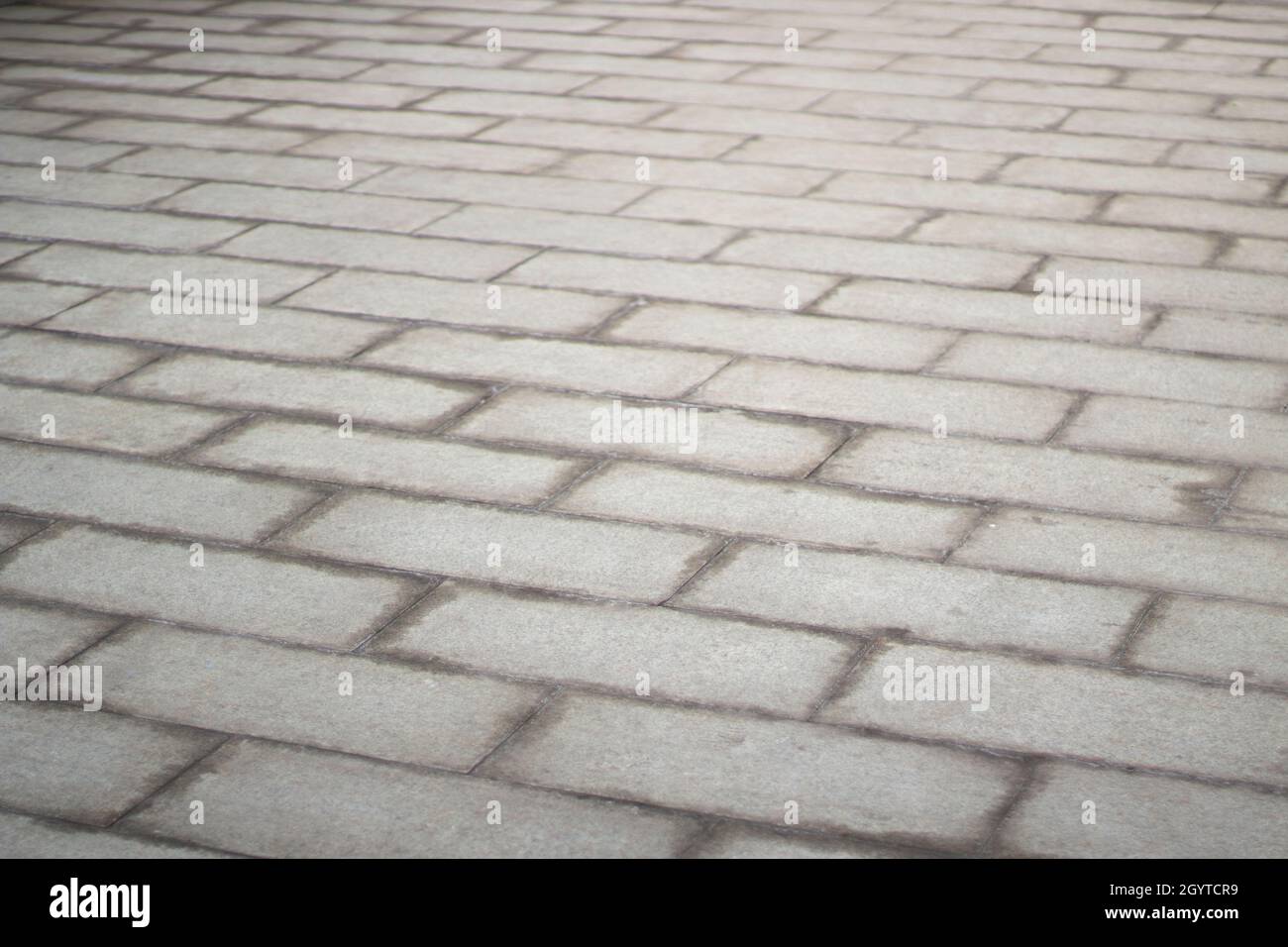 Tiles on the road. The texture of the pavement. Pedestrian pavement ...