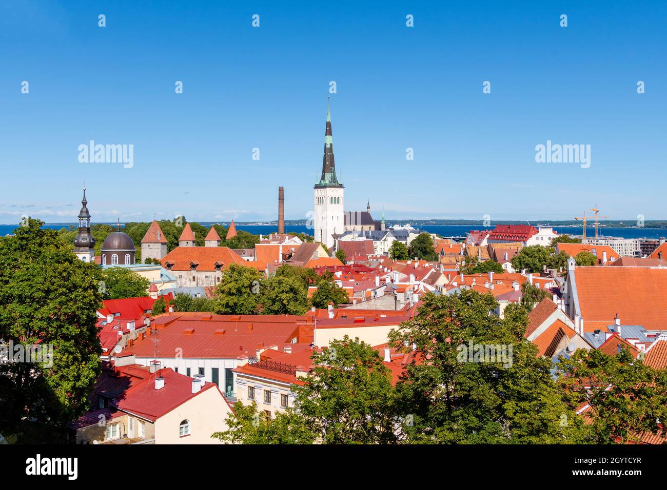 Tallinn capital of Estonia in summer Stock Photo - Alamy