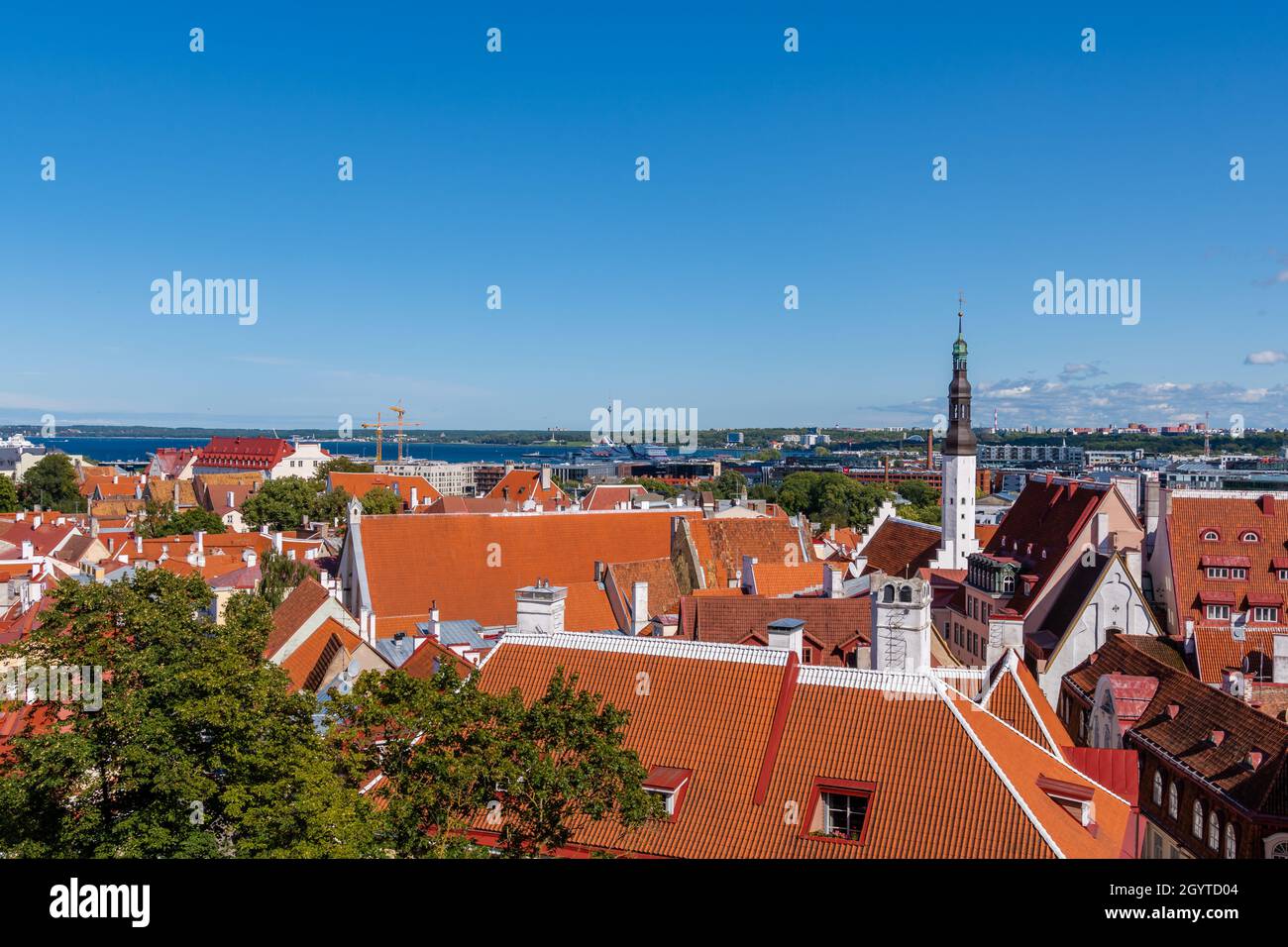Tallinn capital of Estonia in summer Stock Photo - Alamy