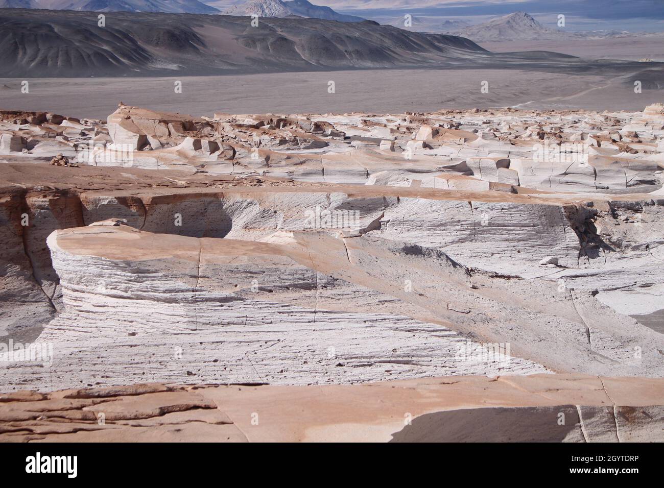 unique pumice field in the world in northwestern Argentina Stock Photo ...