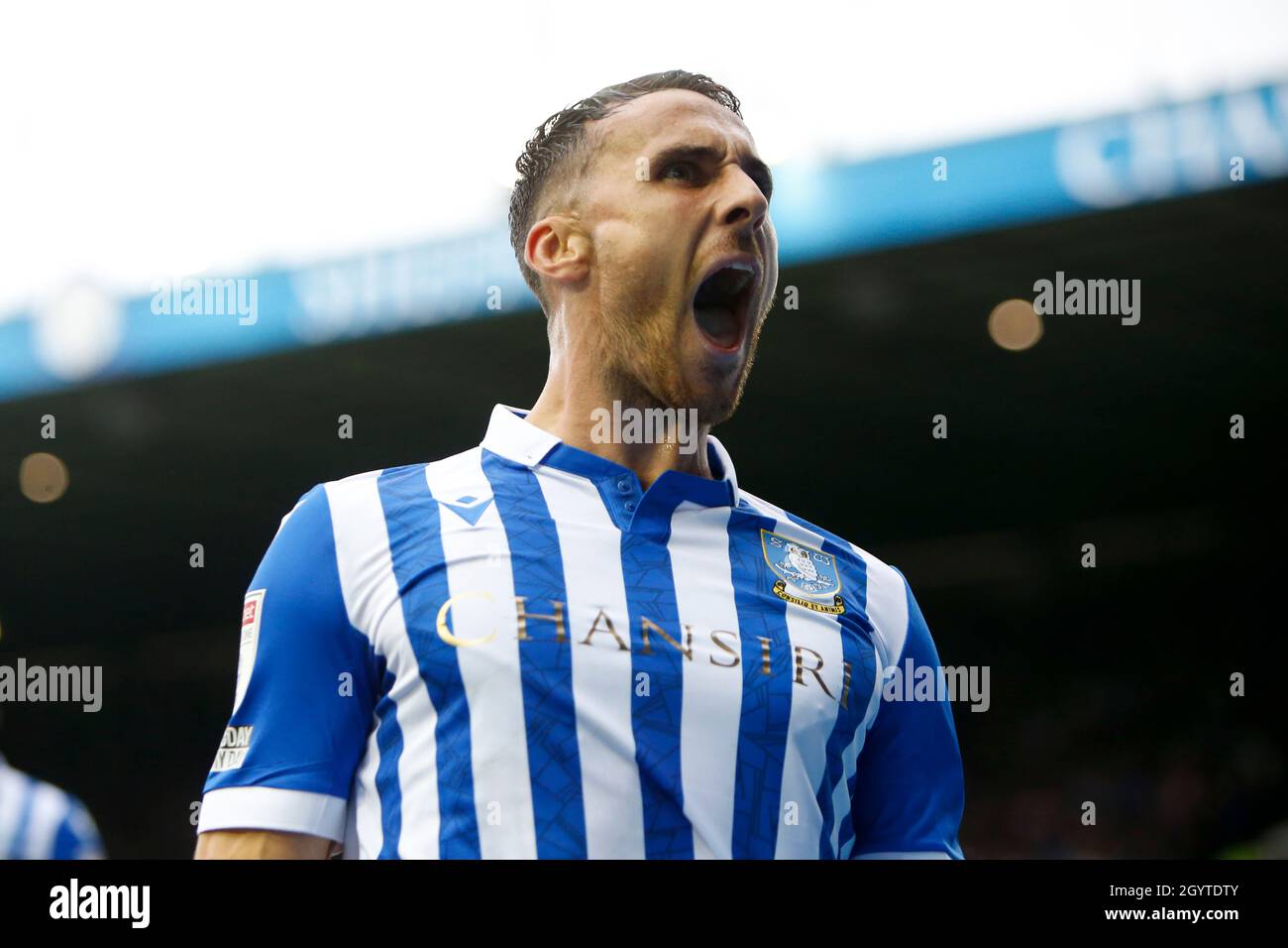 Lee Gregory #9 of Sheffield Wednesday Celebrates scoring a goal to make ...