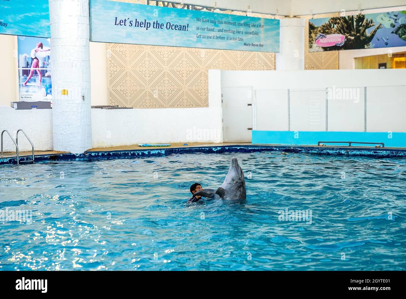Training dolphin hi-res stock photography and images - Alamy