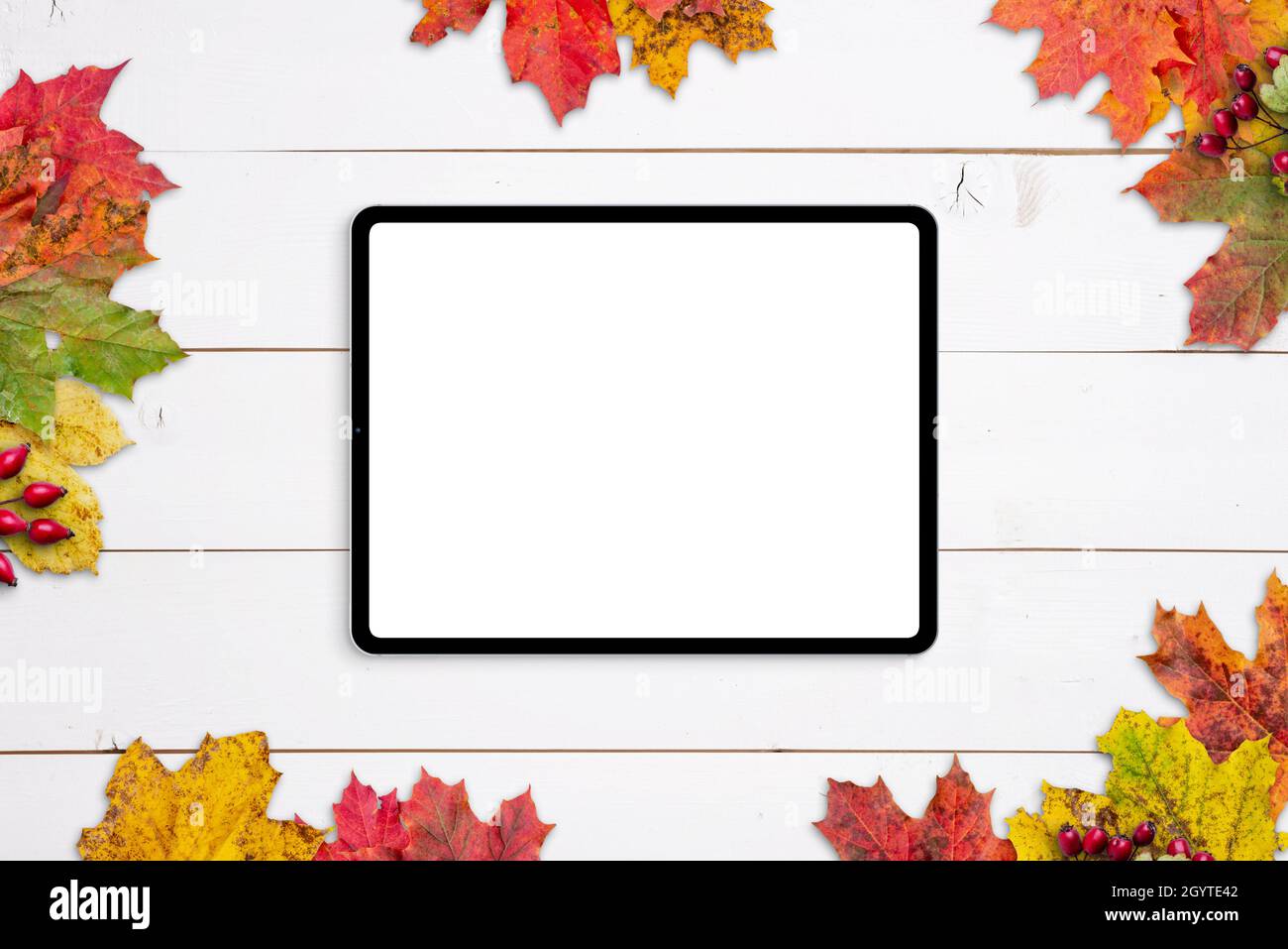Tablet mockup on white wooden table surrounded by autumn leaves ...