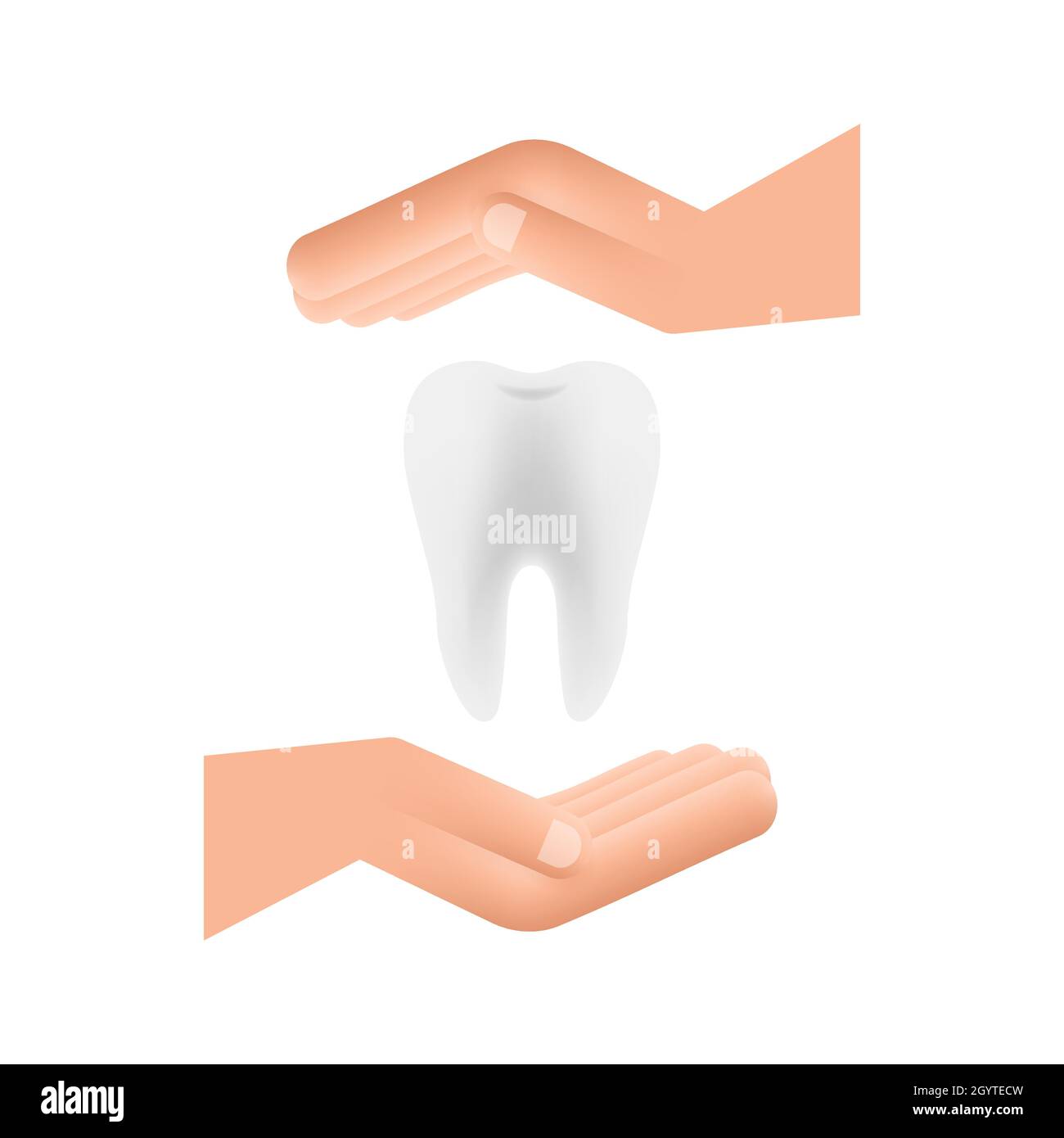 Teeth icon dentist. Healthy Teeth in hands. Human Teeth. Vector ...