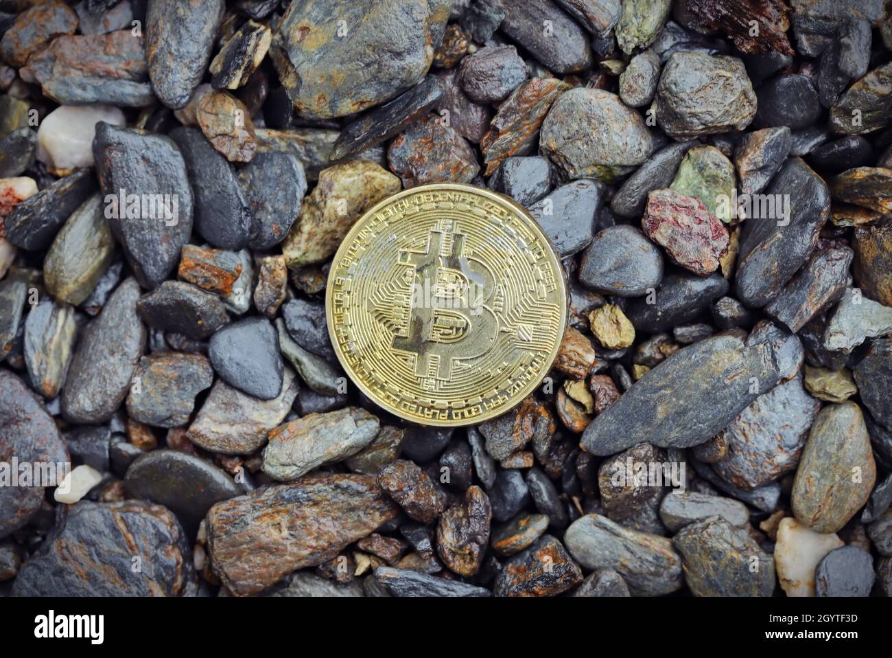 One coin on the pebbles Stock Photo - Alamy