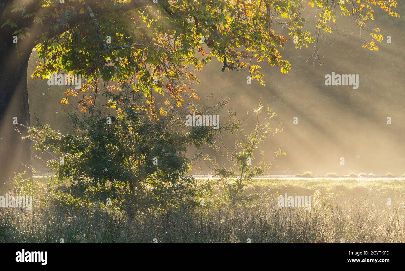 Southampton park sunshine hi-res stock photography and images - Alamy