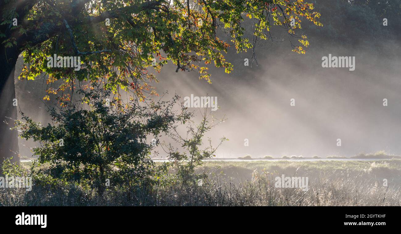 Southampton common park hi-res stock photography and images - Alamy