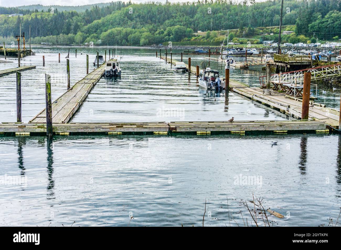 Sekiu hi-res stock photography and images - Alamy