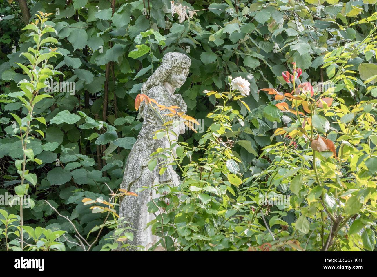 Statue of a woman surrounded by flowers in botanical garden. Over time ...