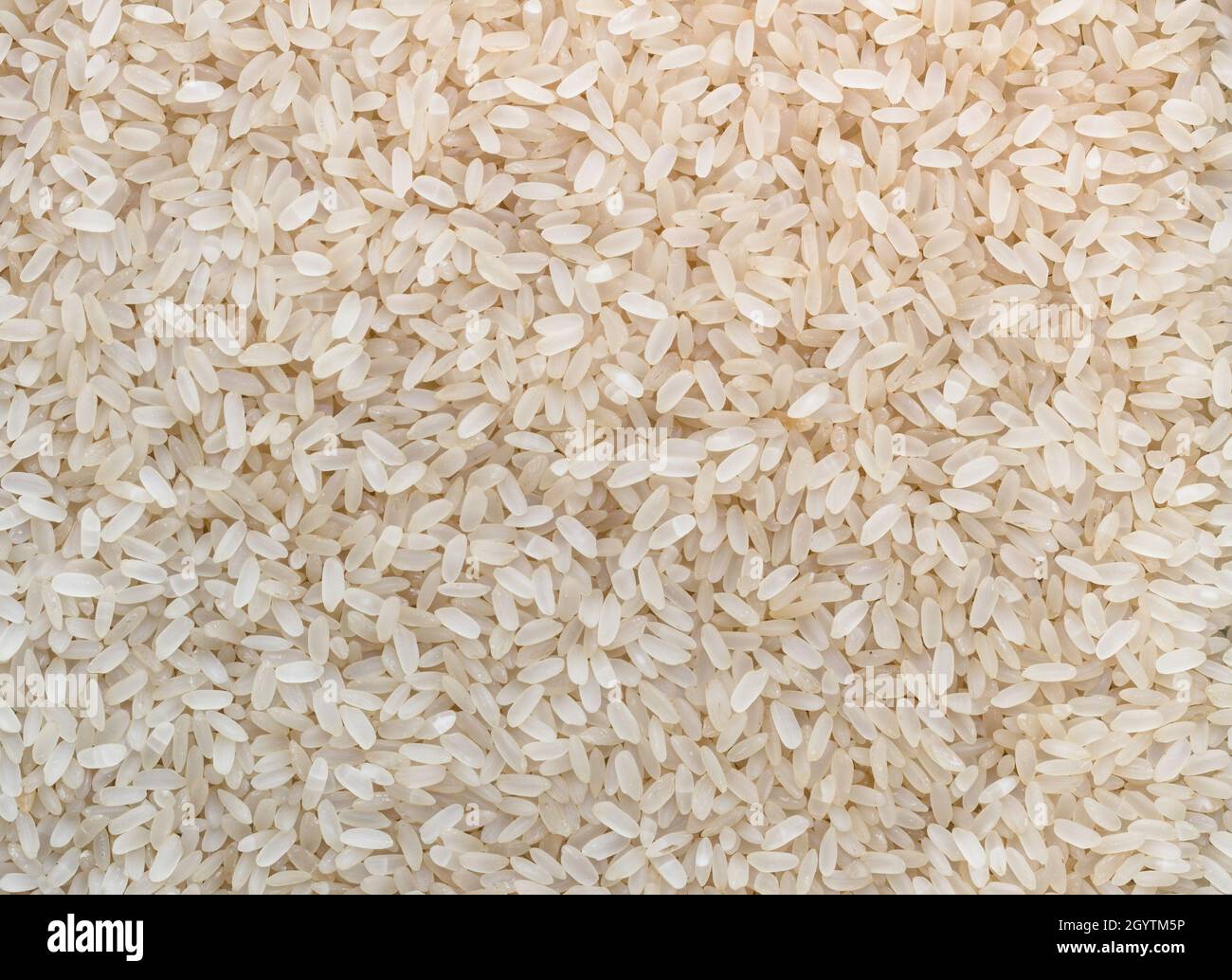 Uncooked rice. It can be used as concepts or backgrounds Stock Photo ...