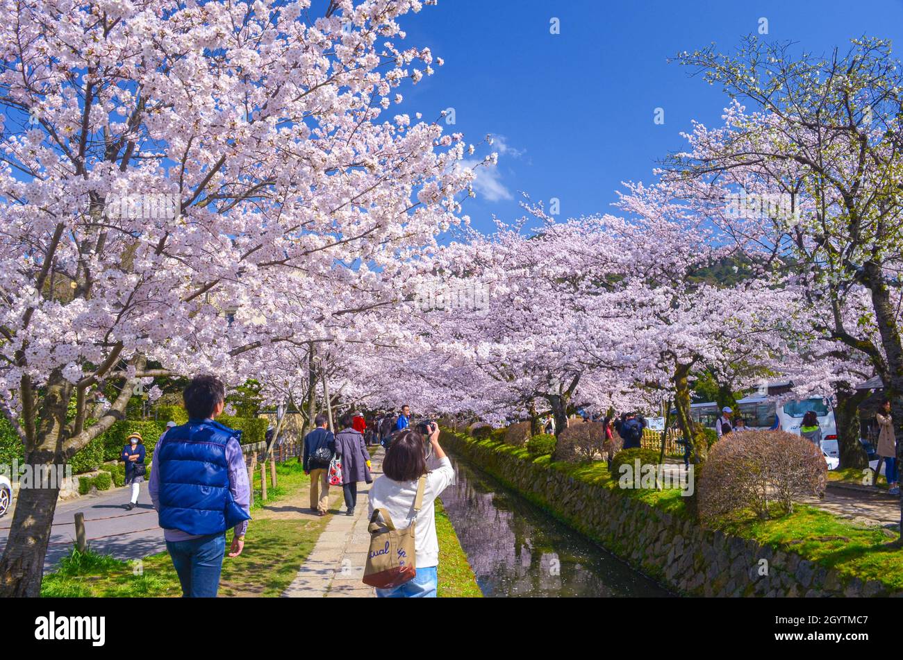 Kyoto, Japan – April 2, 2015 : Tourists and locals walking and enjoying ...