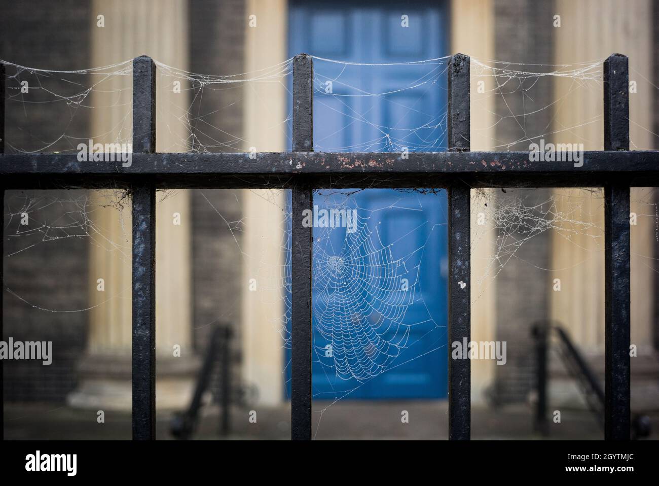 Spiders web gate hi-res stock photography and images - Alamy