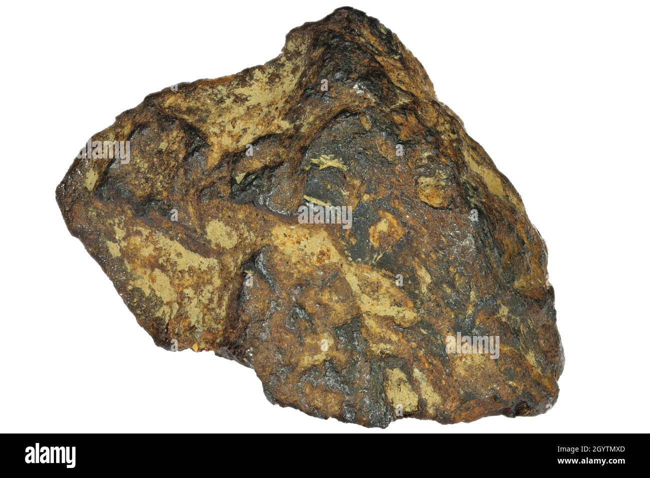 fragment of the Muonionalusta meteorite isolated on white background ...