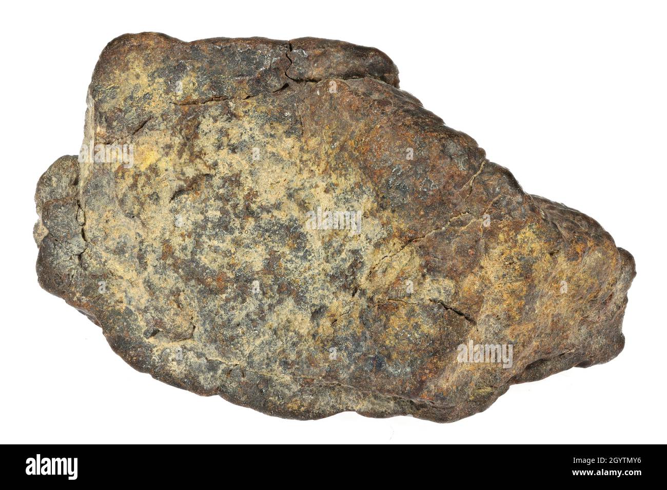 fragment of the NWA 869 meteorite isolated on white background Stock ...