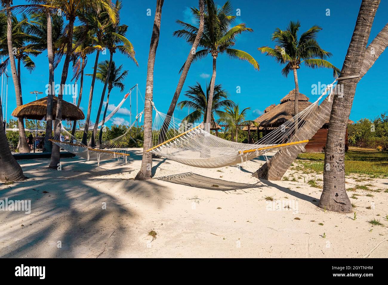 Hammock hanging on tree at beach in resort Stock Photo - Alamy