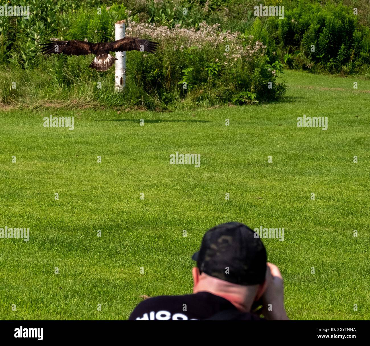 SIMCOE, CANADA - Aug 06, 2021: A photographer takes picture of a bird ...