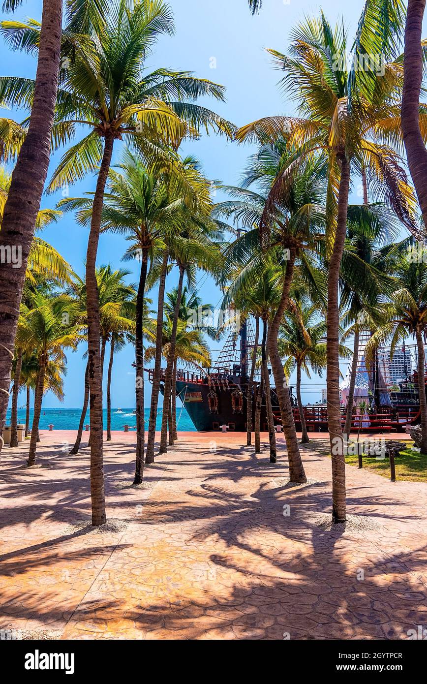 Coconut trees against pirate ship moored on harbor by sea Stock Photo ...