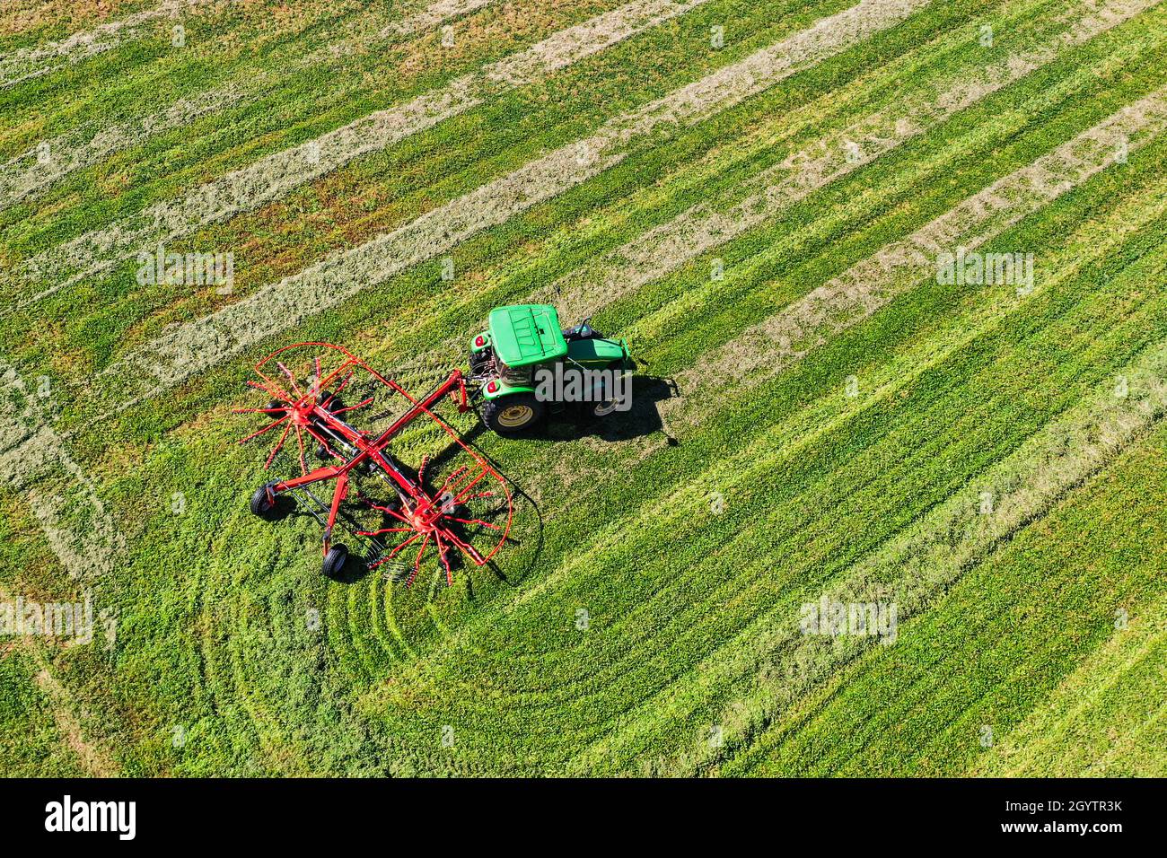 A rotary rake combining smaller windrows of hay into one larger row for ...