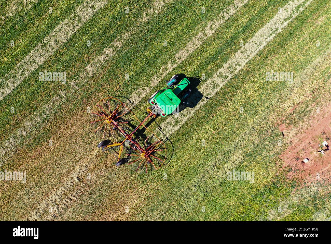 A rotary rake combining smaller windrows of hay into one larger row for ...