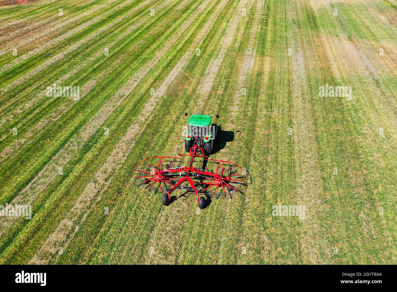 A rotary rake combining smaller windrows of hay into one larger row for ...