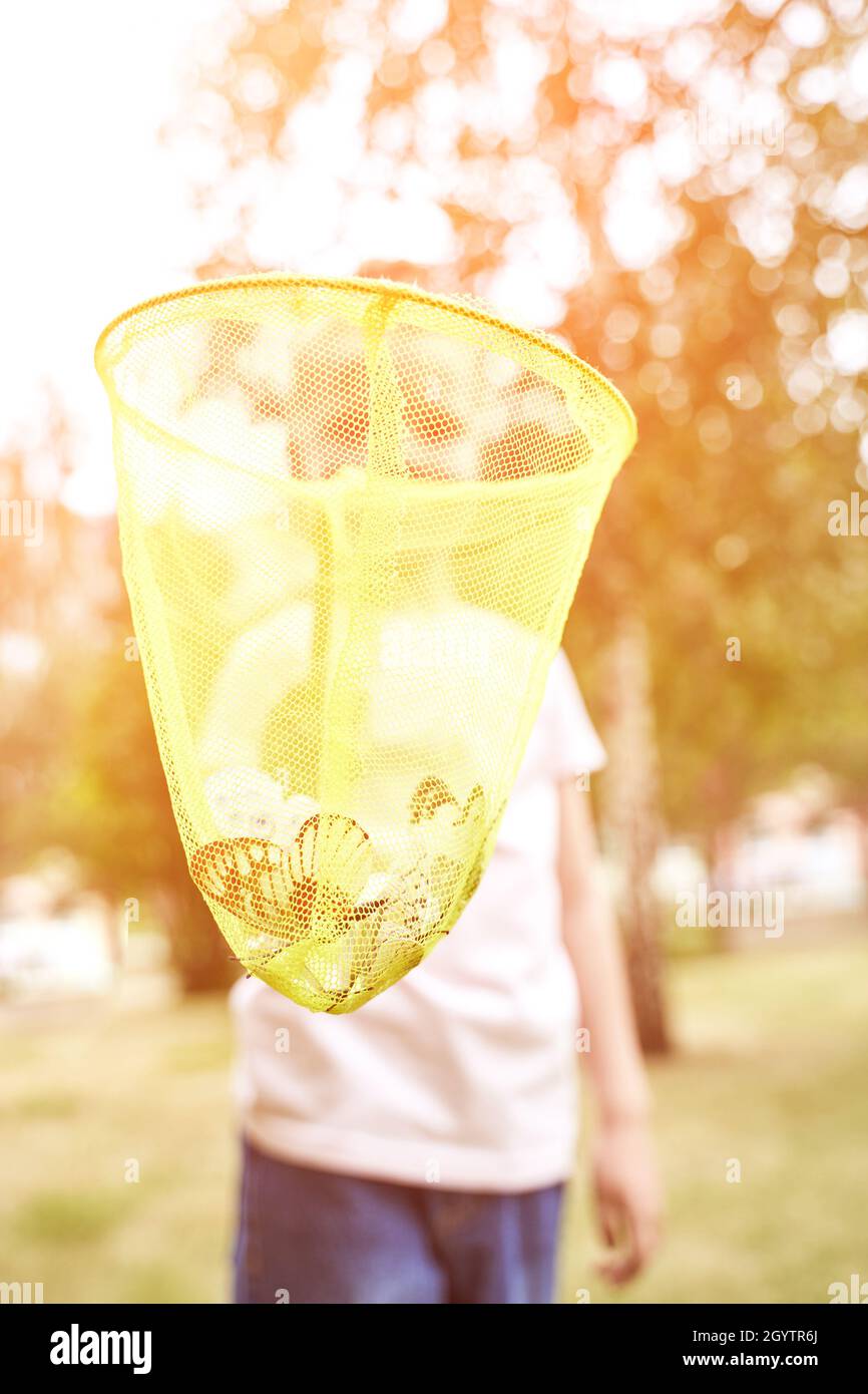 Little girl playing with butterfly net. Summer adventure. Happy toddler ...