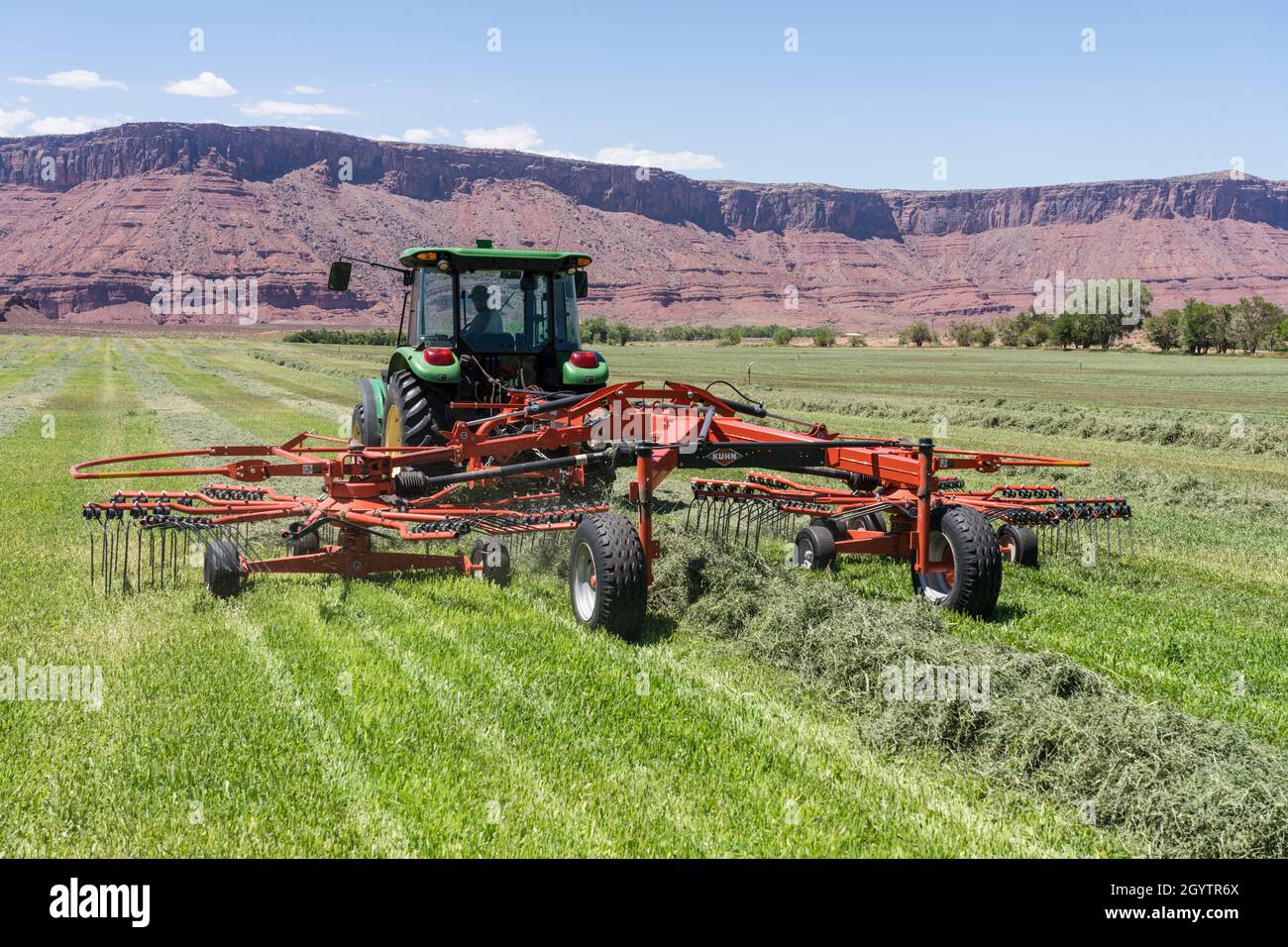 A rotary rake combines smaller rows of hay into one larger row to ...