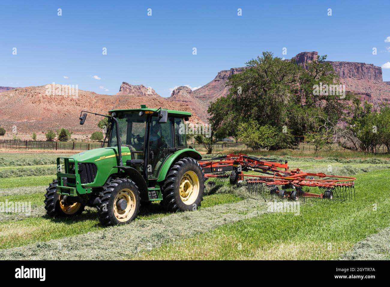 A rotary rake combines smaller rows of hay into one larger row to ...