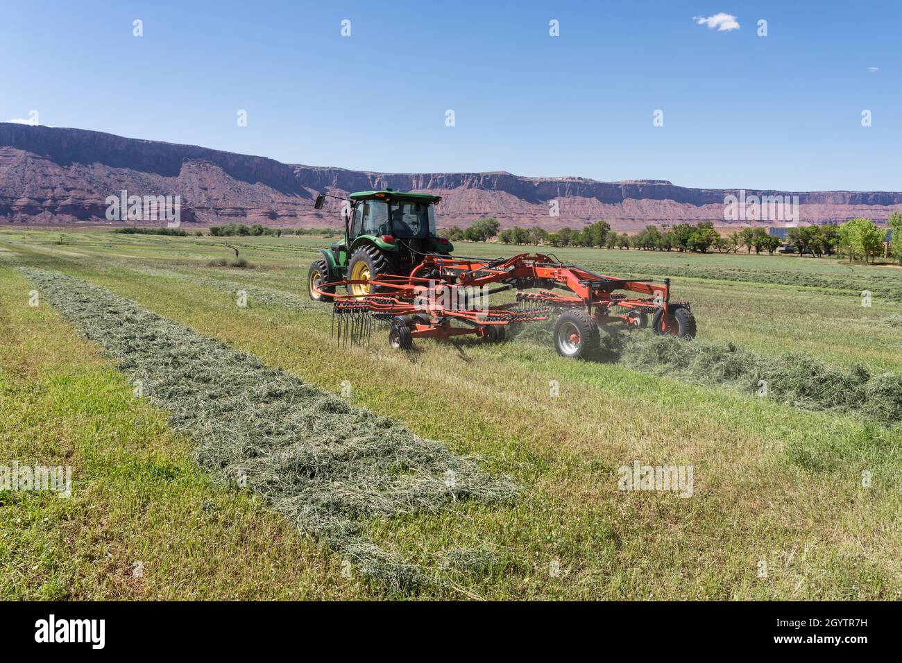 A rotary rake combines smaller rows of hay into one larger row to ...