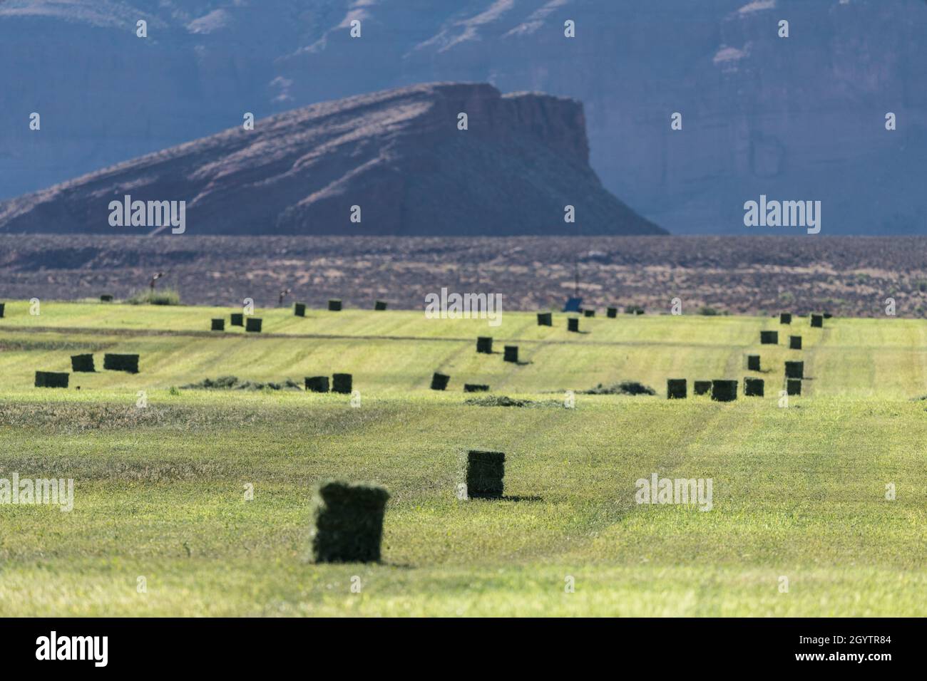 Agricultural procduct hi-res stock photography and images - Alamy