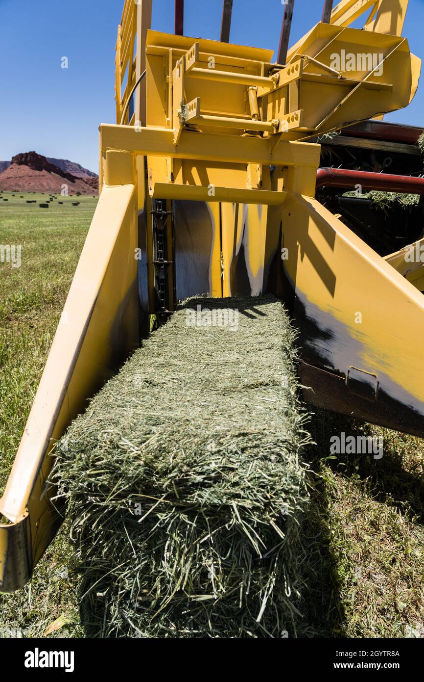 An automatic bale wagon or stack wagon picks up a hay bale with the ...
