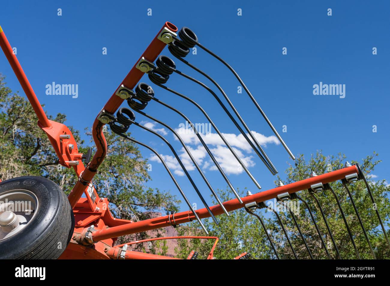 The spring-loaded tines of a rotary rake for raking hay prior to baling ...