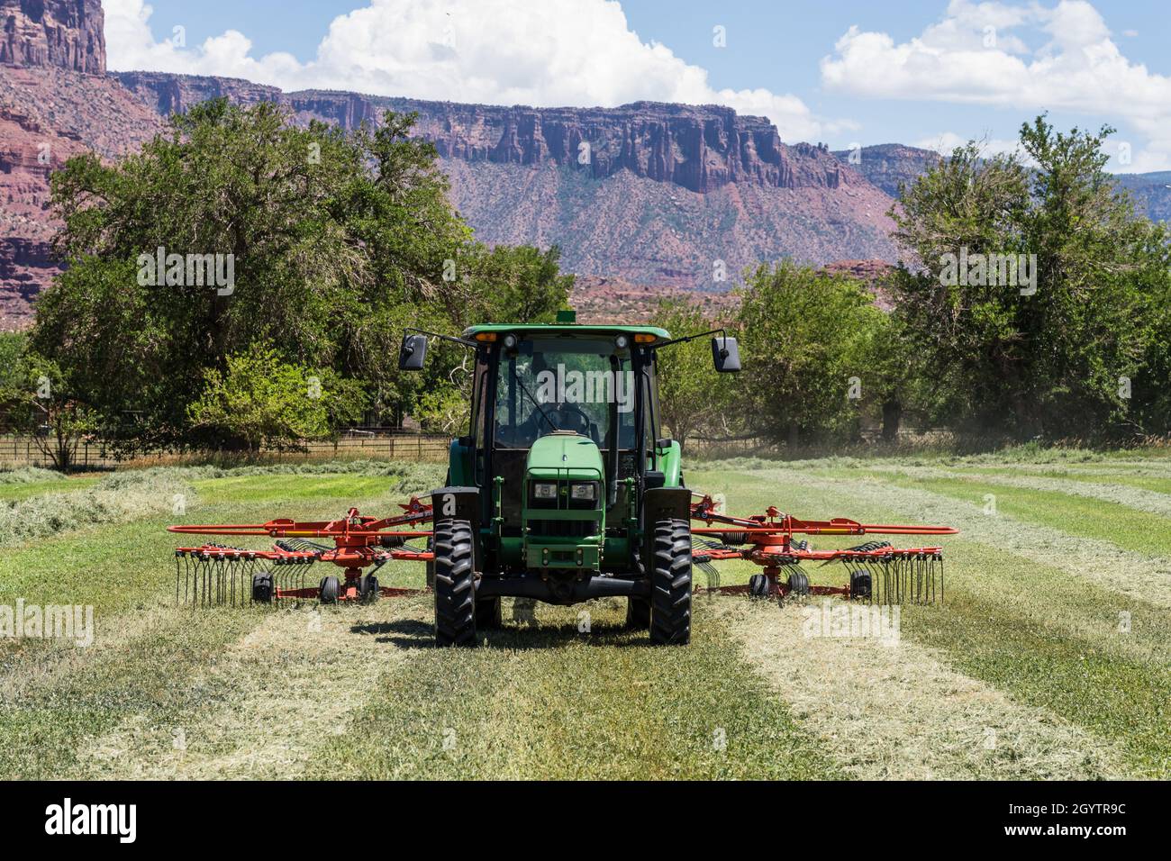 A rotary rake combines smaller rows of hay into one larger row to ...