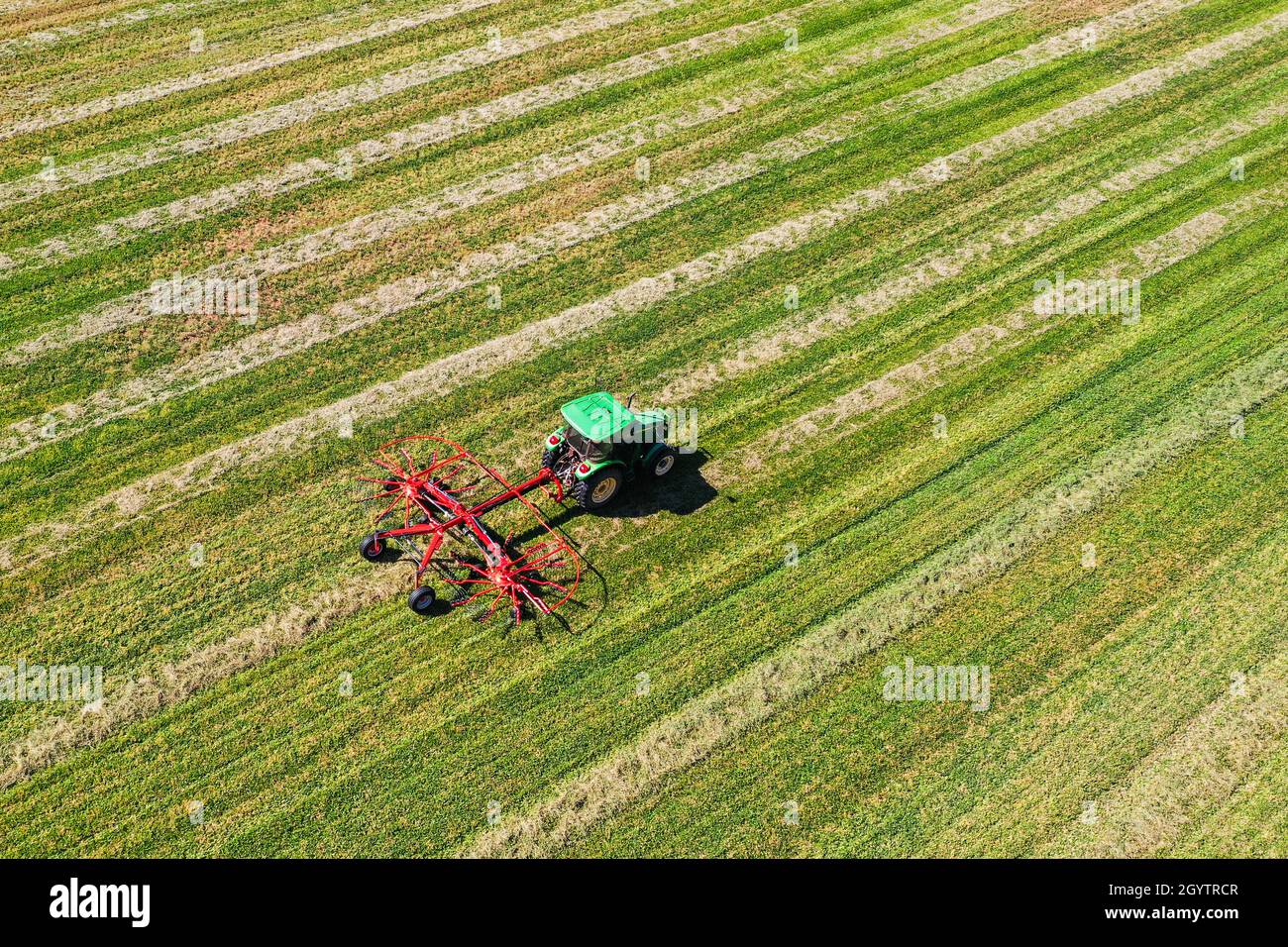 A rotary rake combining smaller windrows of hay into one larger row for ...