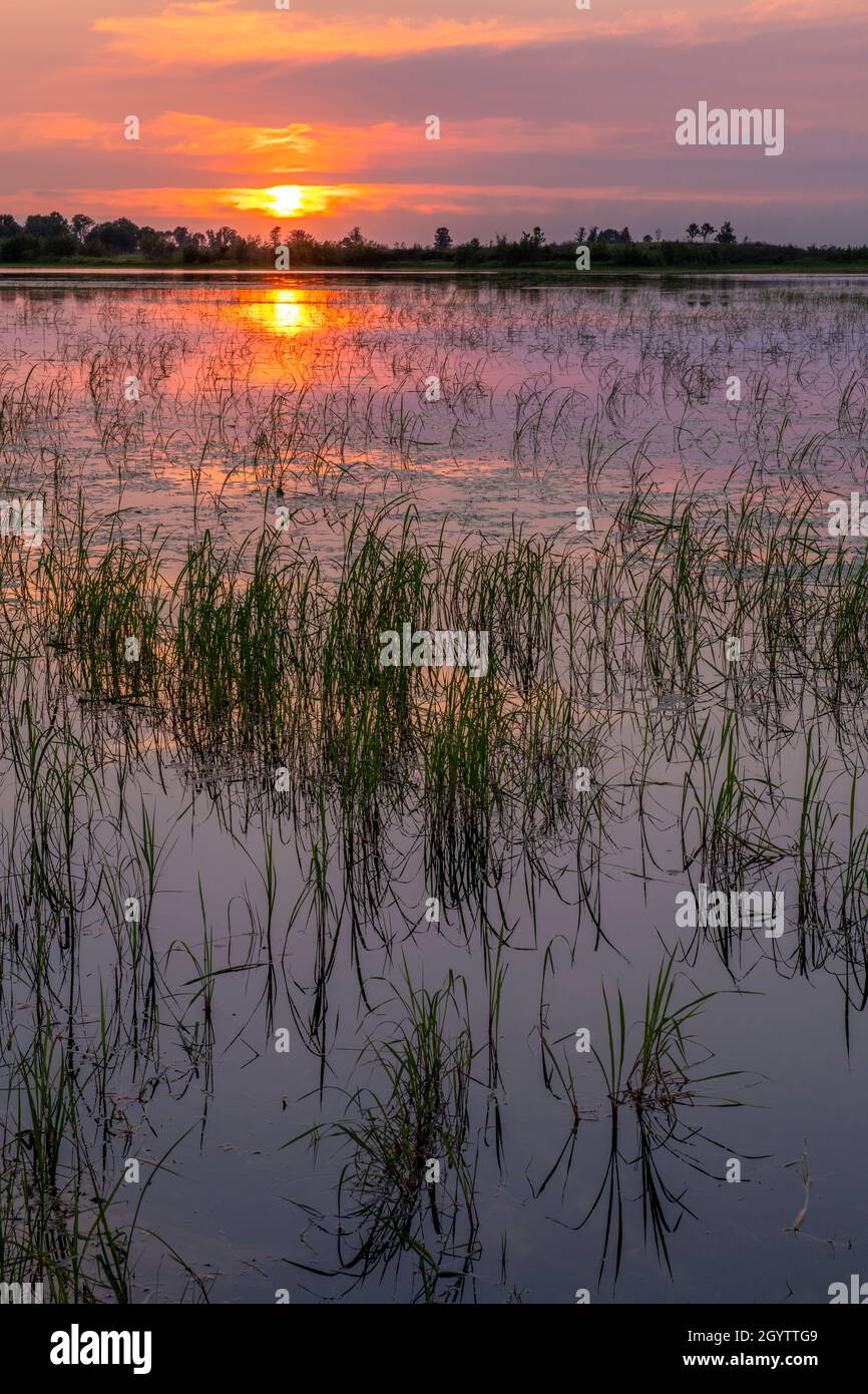 Crepsucular hi-res stock photography and images - Alamy