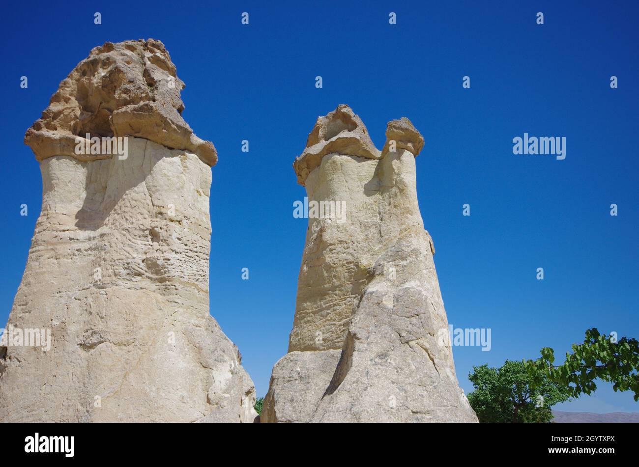 Cappadocia - Turkey - Fairy chimneys in the Pasabag valley Stock Photo ...