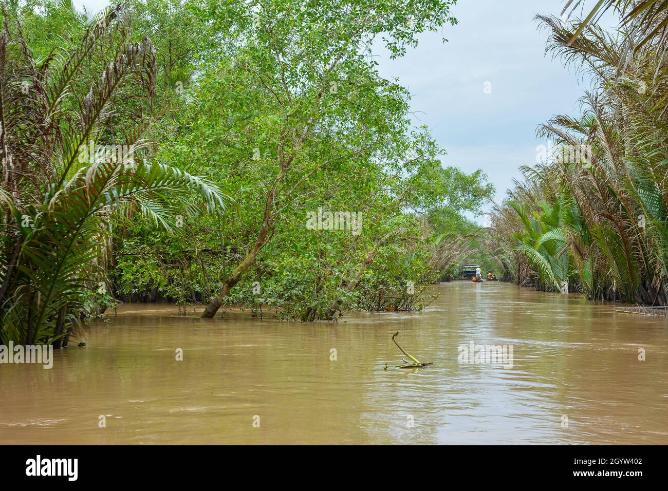 Mekong River Delta landscape in Vietnam Stock Photo - Alamy