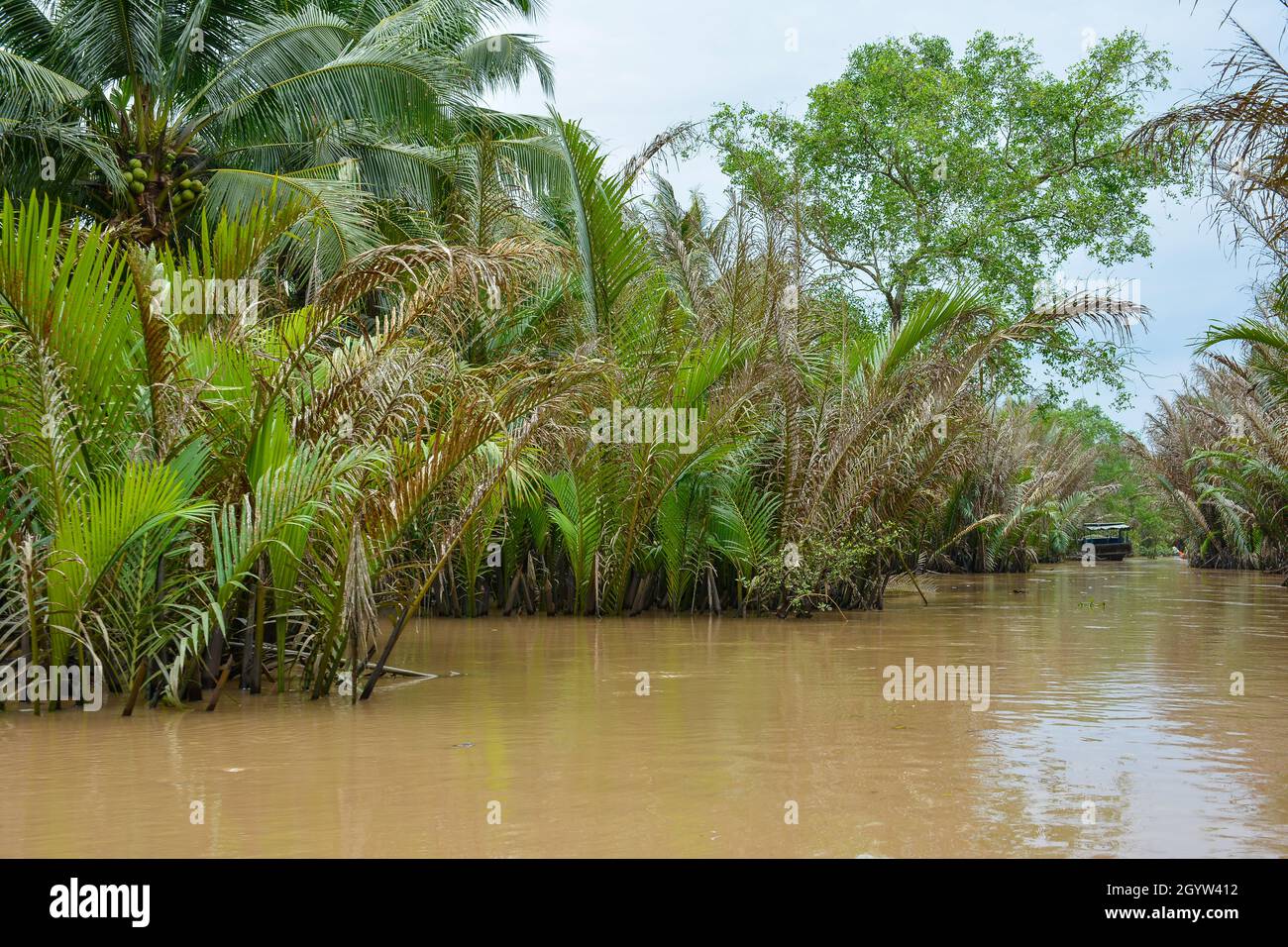 Mekong River Delta landscape in Vietnam Stock Photo - Alamy