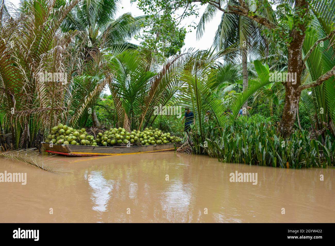 Mekong River Delta landscape in Vietnam Stock Photo - Alamy