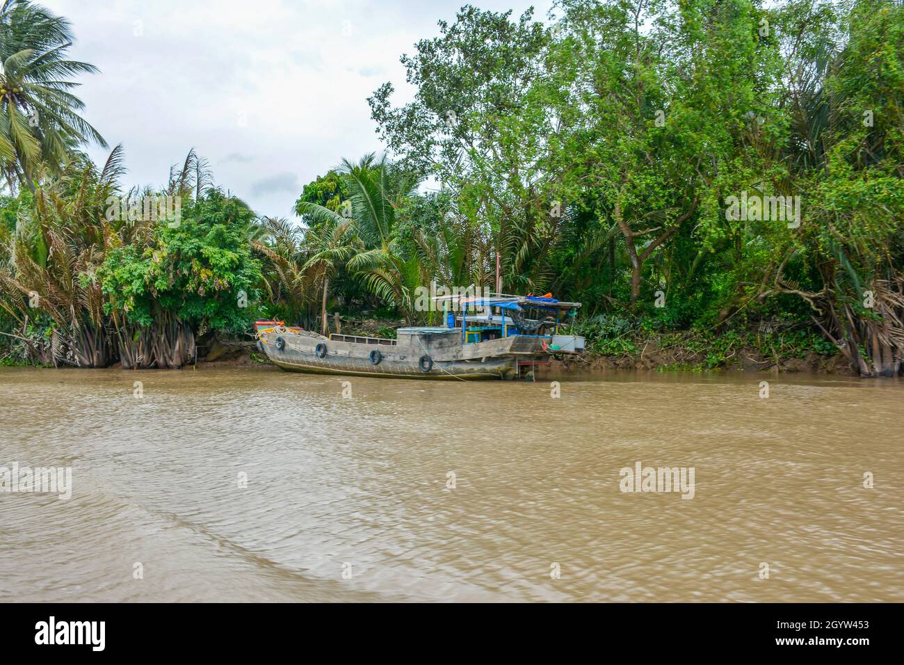 Mekong River Delta landscape in Vietnam Stock Photo - Alamy