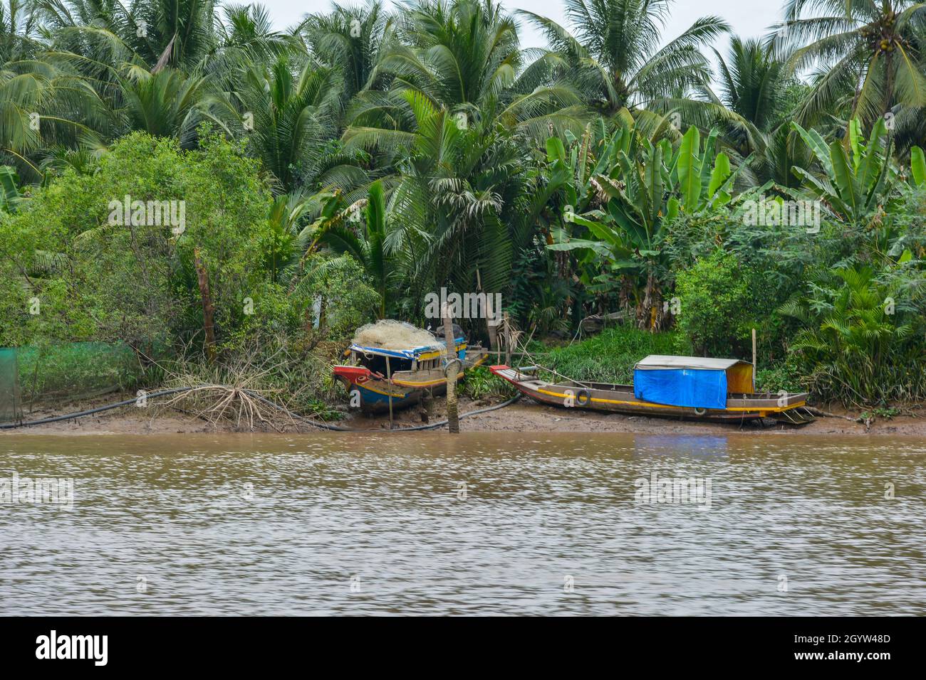 Mekong River Delta landscape in Vietnam Stock Photo - Alamy