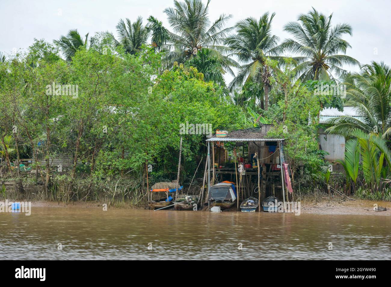 Mekong River Delta landscape in Vietnam Stock Photo - Alamy