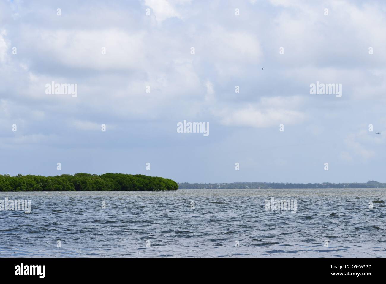Water lagoon nature Stock Photo - Alamy