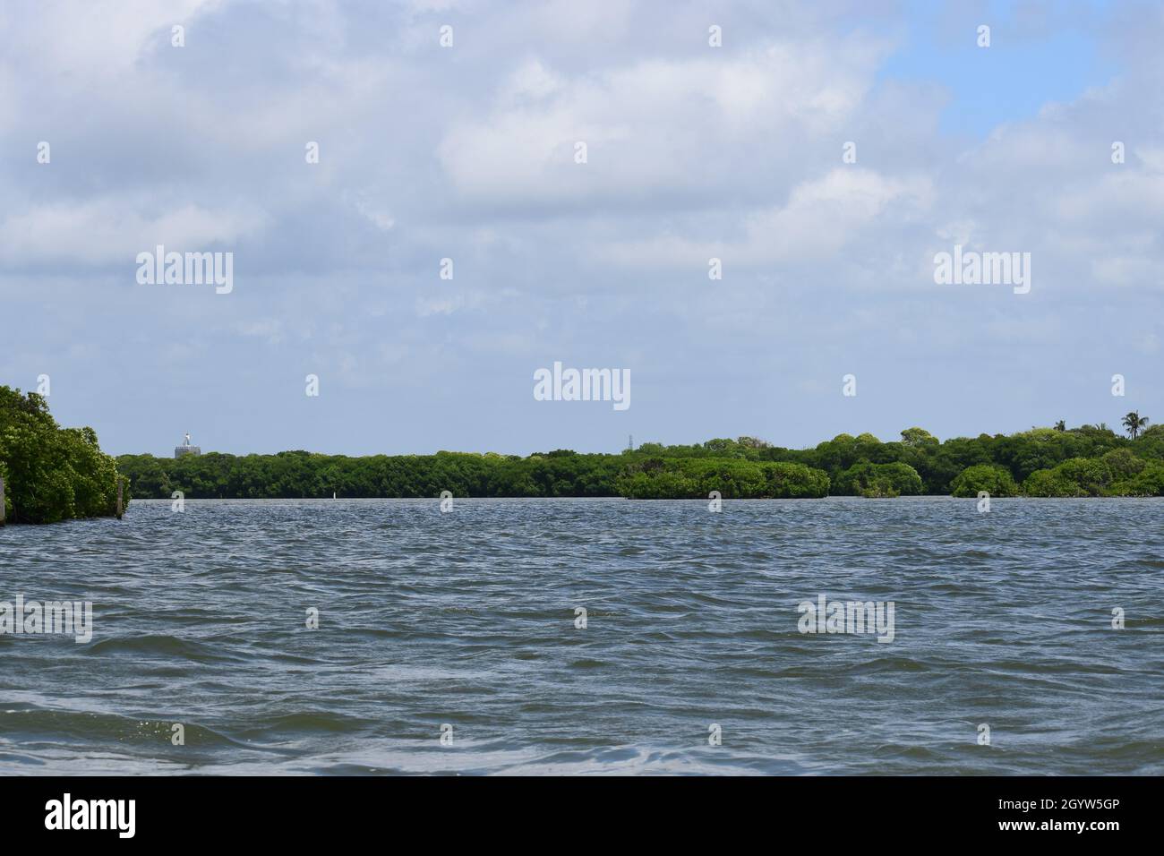 Water lagoon nature Stock Photo - Alamy